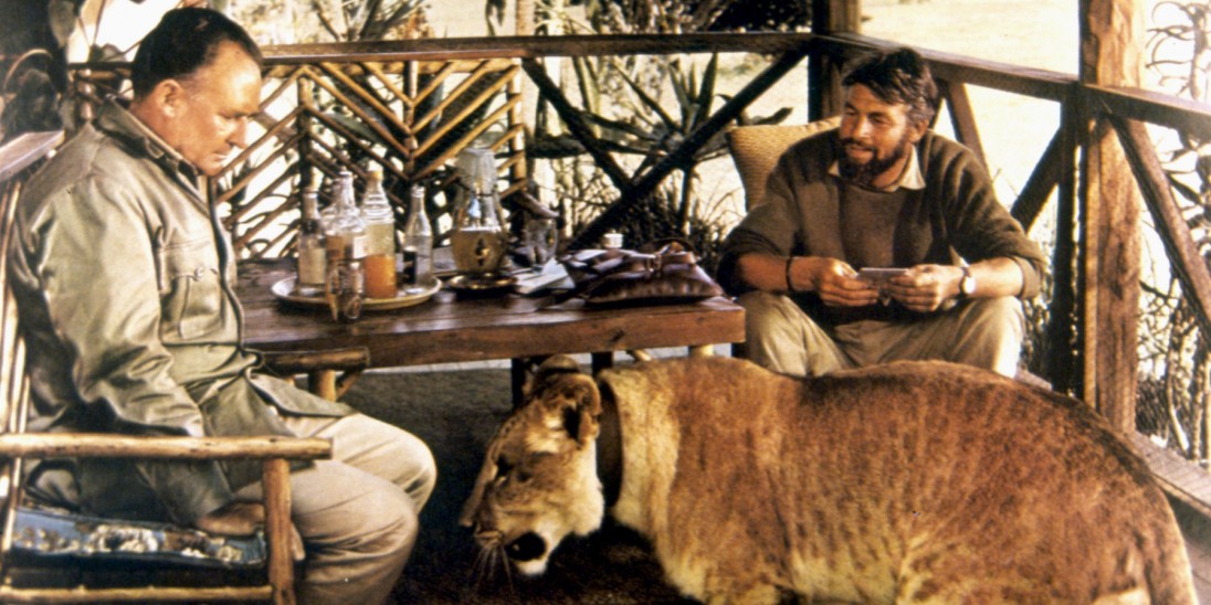 Film - Born Free/Living Free - Into Film